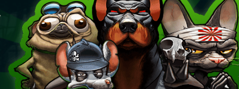 Nitropolis Slot Review - ELK Studios - Chipmonkz Slots