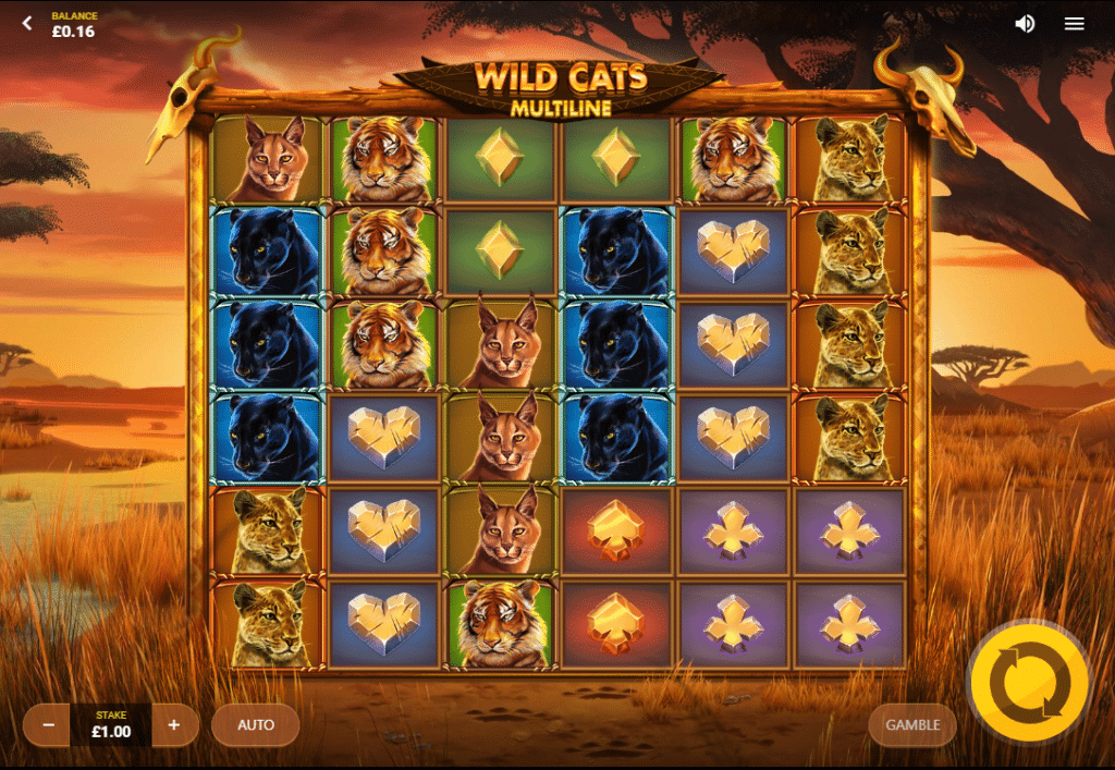 Wild Cats Multiline Slot Review - Red Tiger Gaming - Chipmonkz Slots