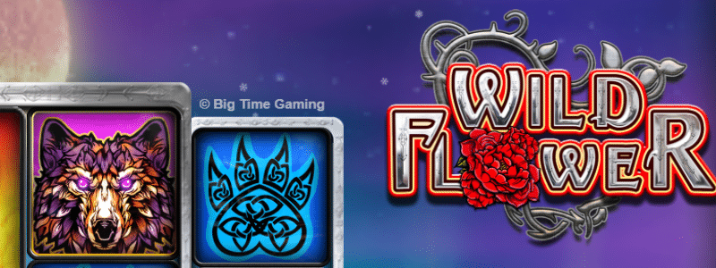 Wild Flower Slot Review - Big Time Gaming - Chipmonkz Slots